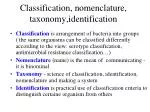 PPT - An international evidence-based classification of IgA nephropathy ...