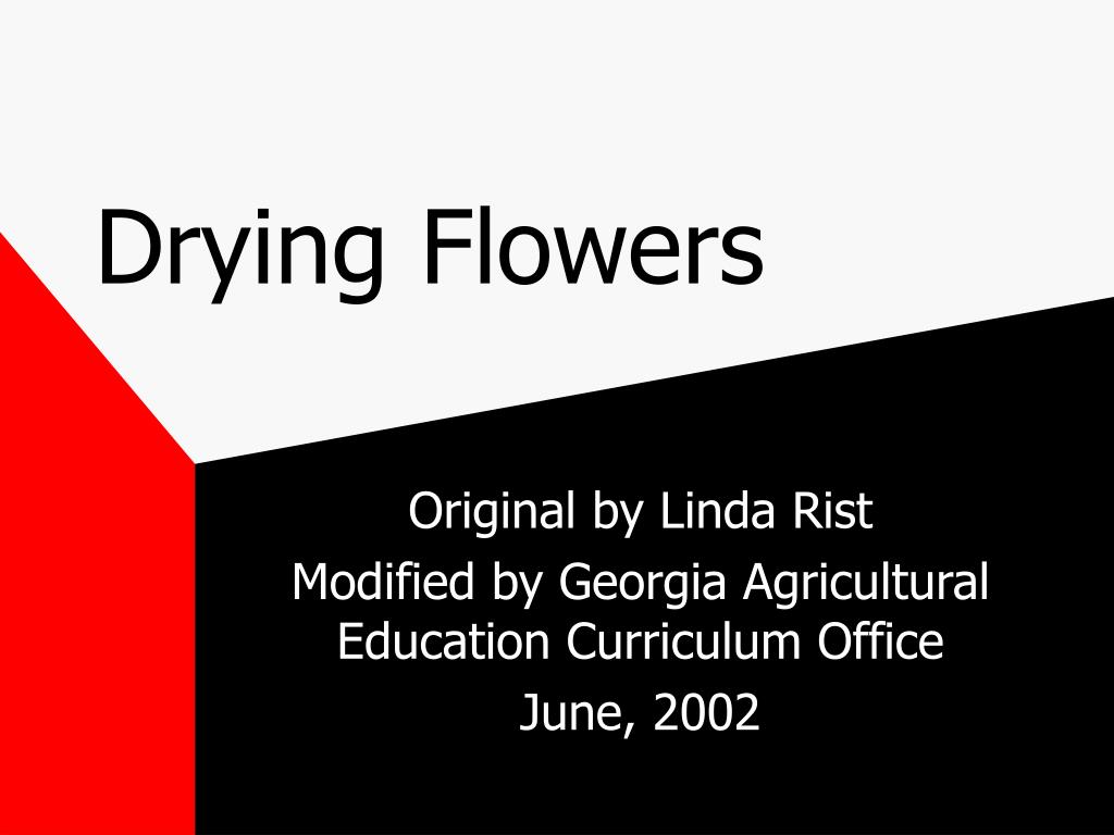 PPT - Drying Flowers PowerPoint Presentation, free download - ID:3092169