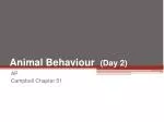 PPT - Animal Behaviour PowerPoint Presentation, free download - ID:2885264