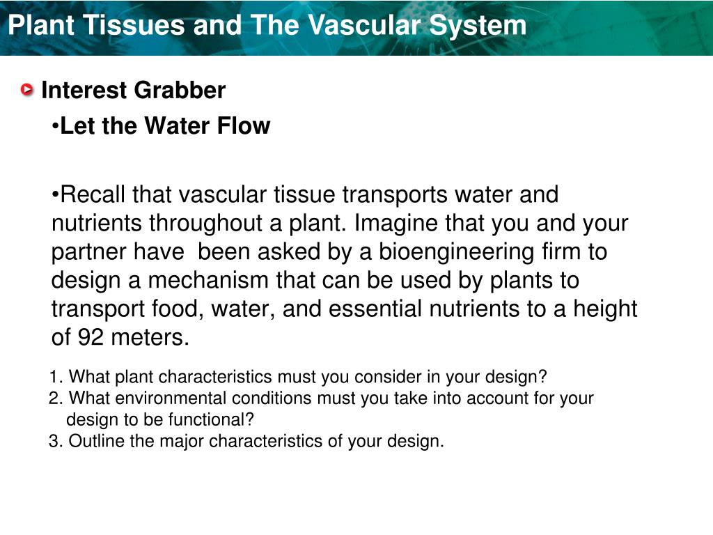 PPT - Interest Grabber PowerPoint Presentation, free download - ID:3093034