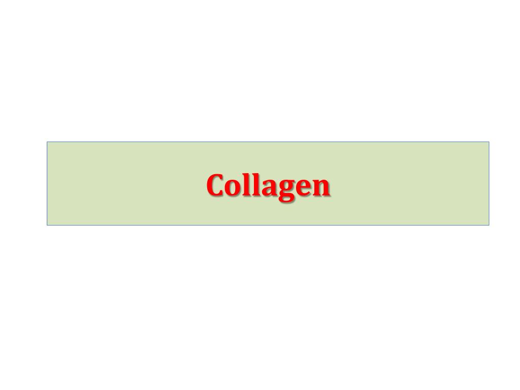 PPT - Collagen PowerPoint Presentation, free download - ID:3093438