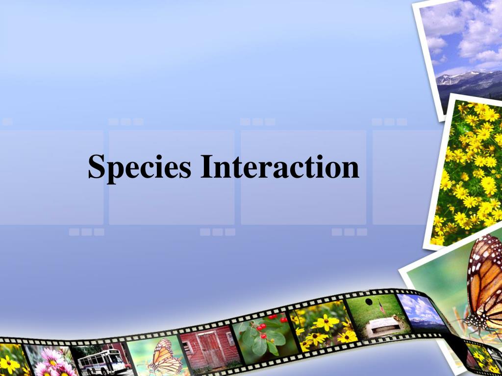 PPT - Species Interaction PowerPoint Presentation, free download - ID ...