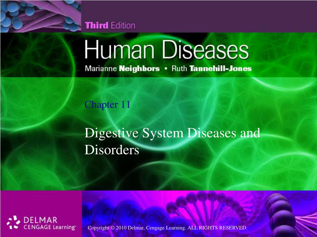 PPT - Digestive System Diseases and Disorders Overview PowerPoint ...