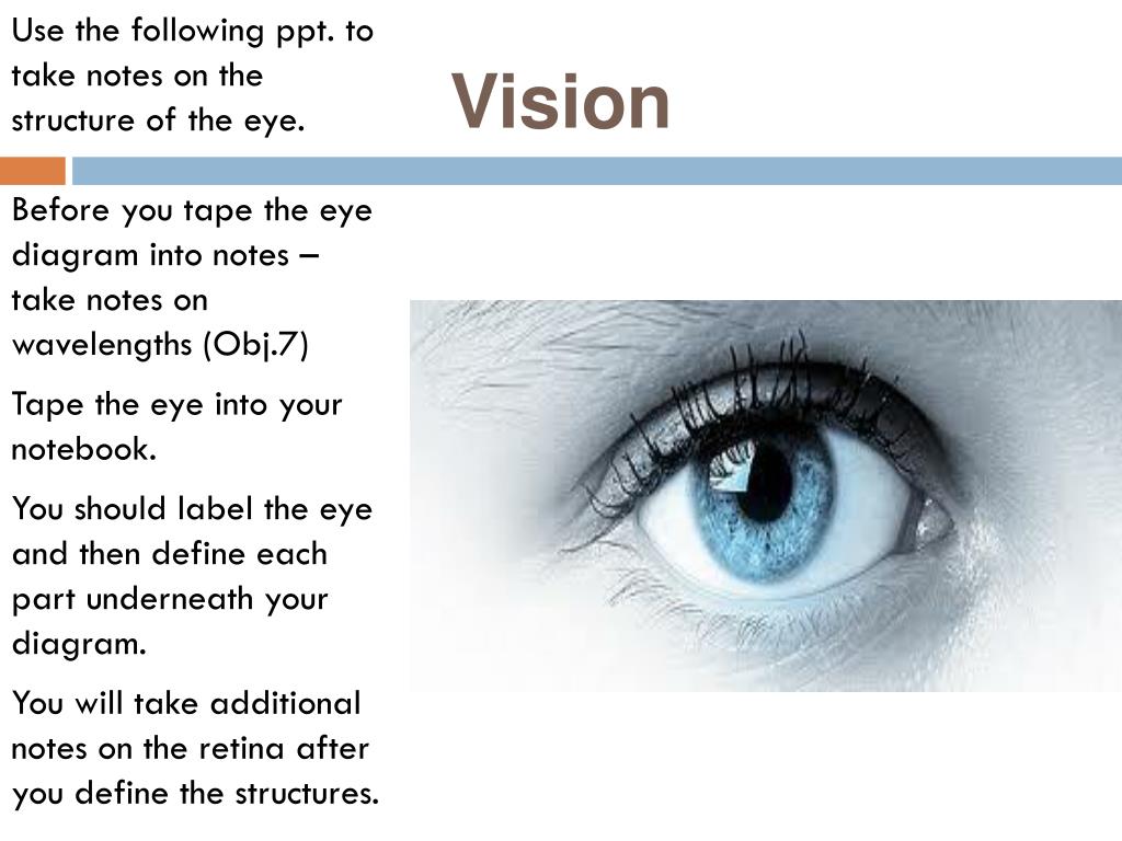 PPT - Vision PowerPoint Presentation, free download - ID:3094570