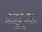 PPT - The Stone Fish PowerPoint Presentation, free download - ID:2450811