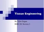 PPT - Tissue Engineering PowerPoint Presentation, free download - ID ...