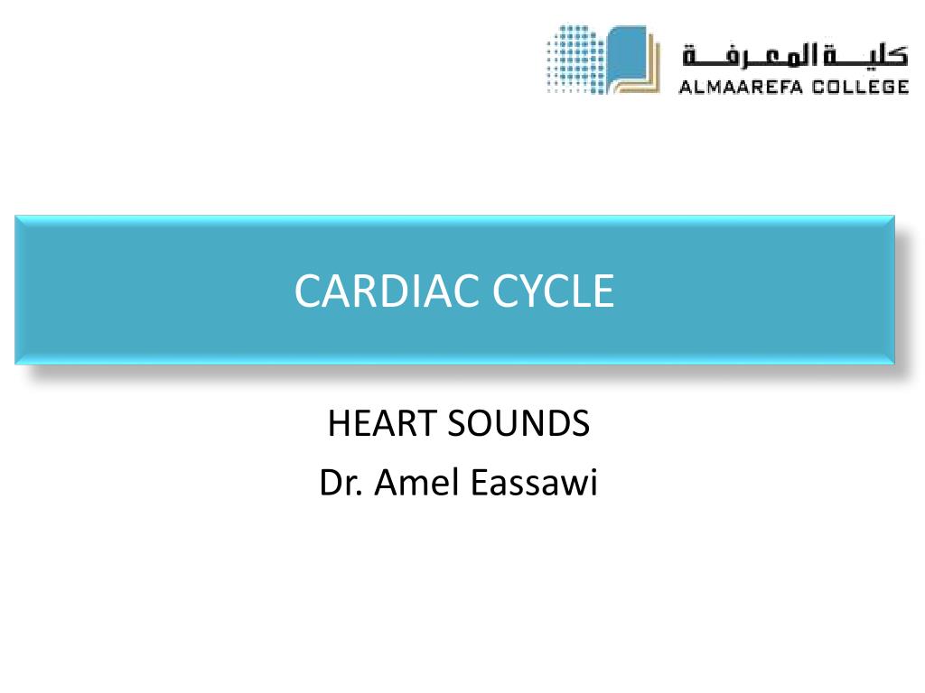 PPT - CARDIAC CYCLE PowerPoint Presentation, free download - ID:3096680