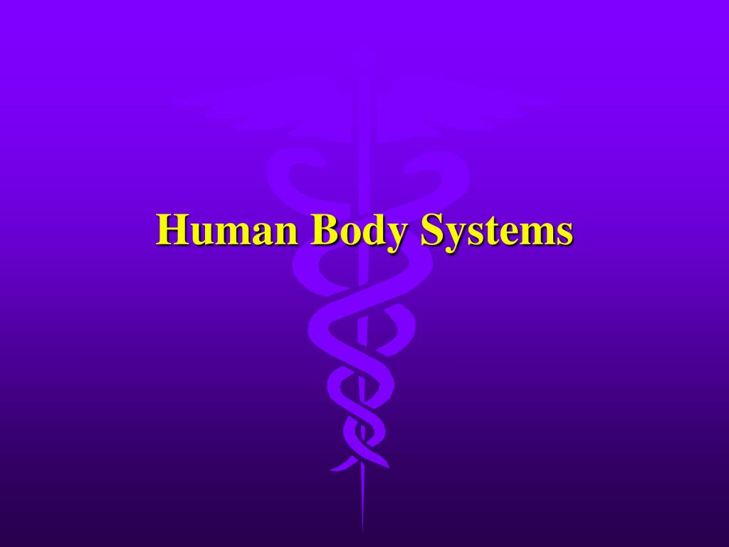 PPT - Human Body Systems PowerPoint Presentation, free download - ID ...