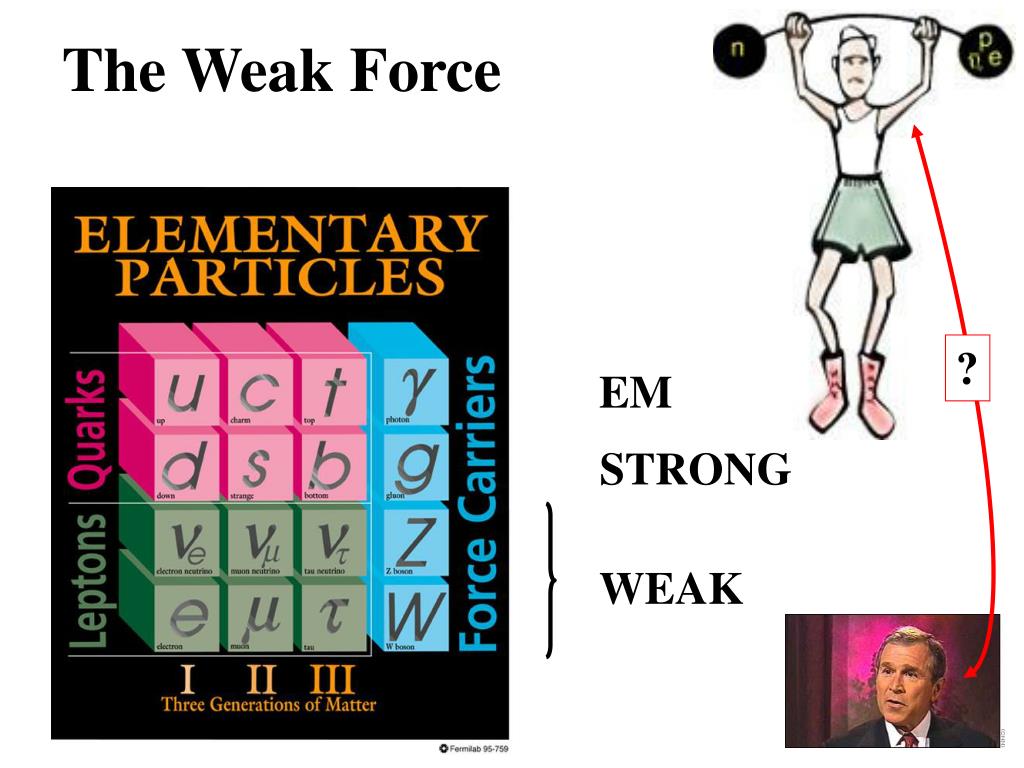PPT - The Weak Force PowerPoint Presentation, free download - ID:3099381