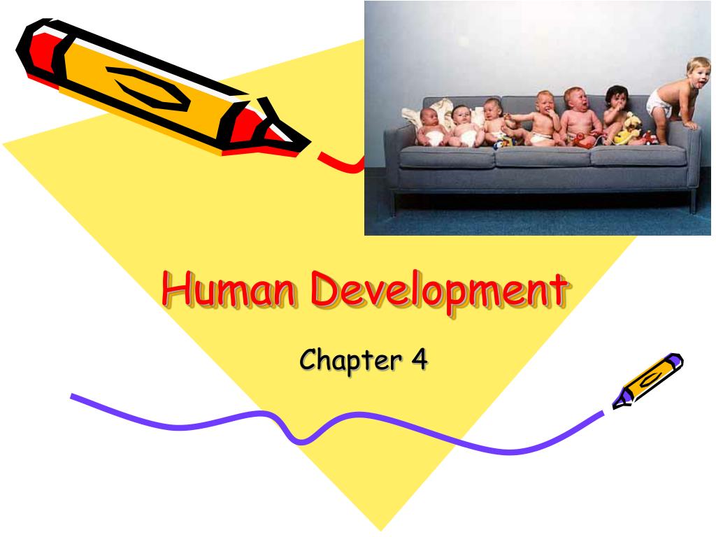PPT - Human Development PowerPoint Presentation, free download - ID:3100331