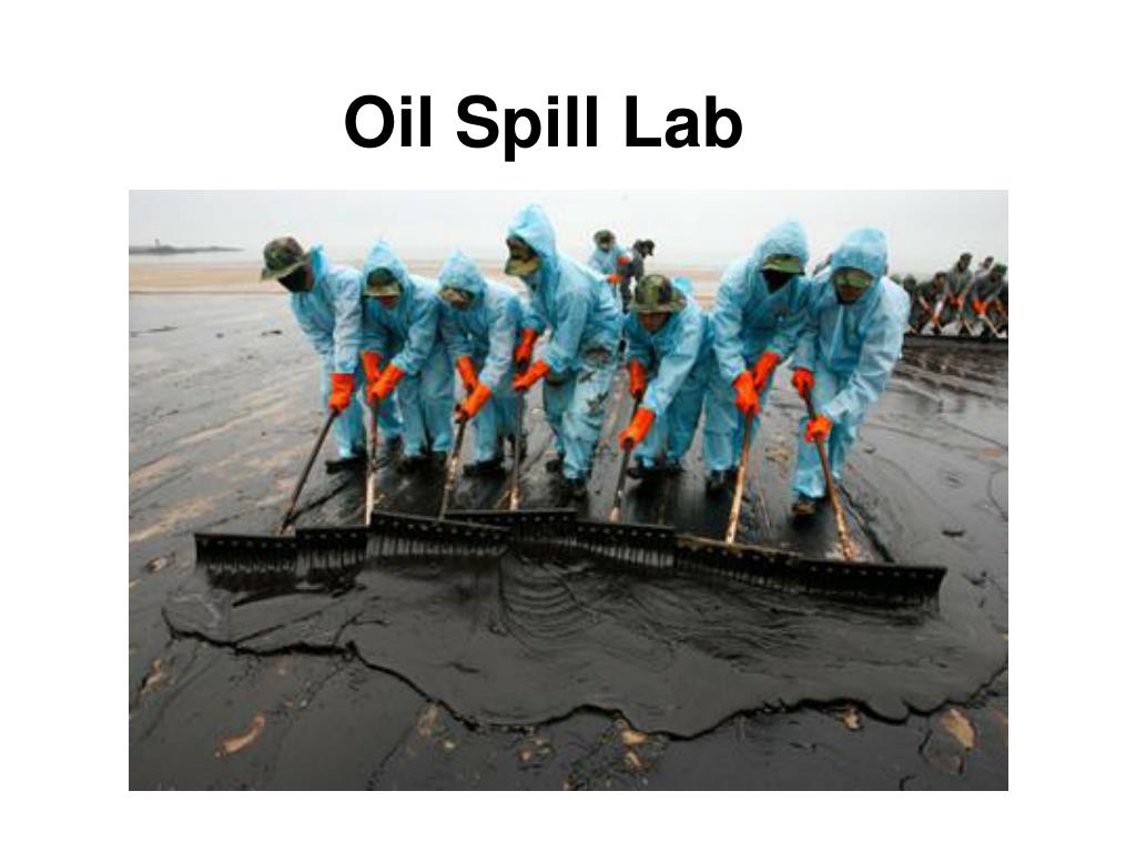 PPT - Oil Spill Lab PowerPoint Presentation, free download - ID:3101874