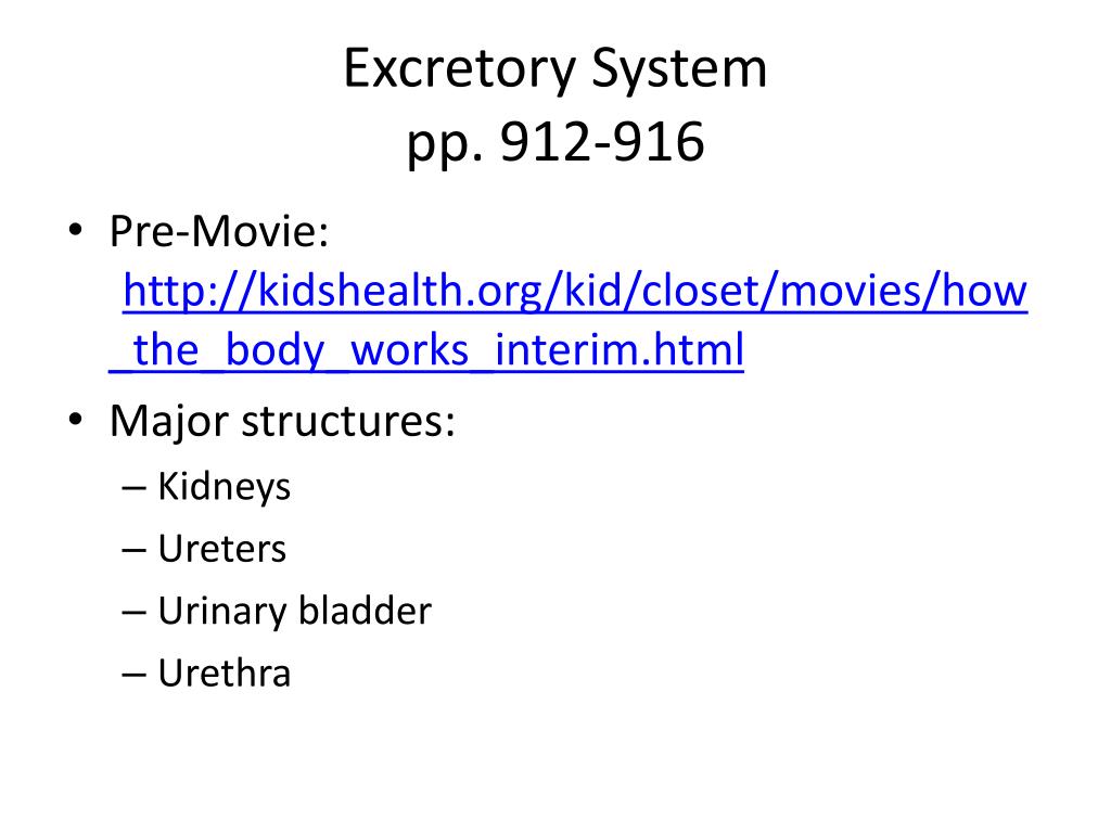 PPT - Excretory System pp. 912-916 PowerPoint Presentation, free ...