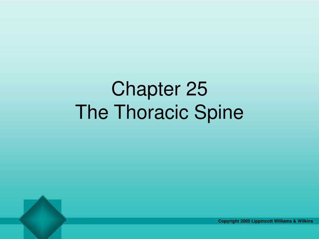 PPT - Chapter 25 The Thoracic Spine PowerPoint Presentation, free ...