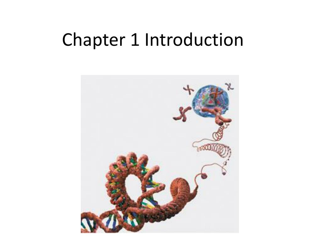 PPT - Chapter 1 Introduction PowerPoint Presentation, free download ...