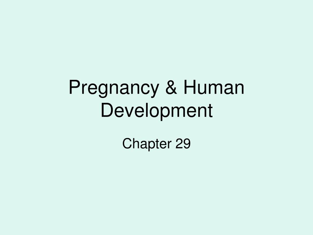 PPT - Pregnancy & Human Development PowerPoint Presentation, free ...