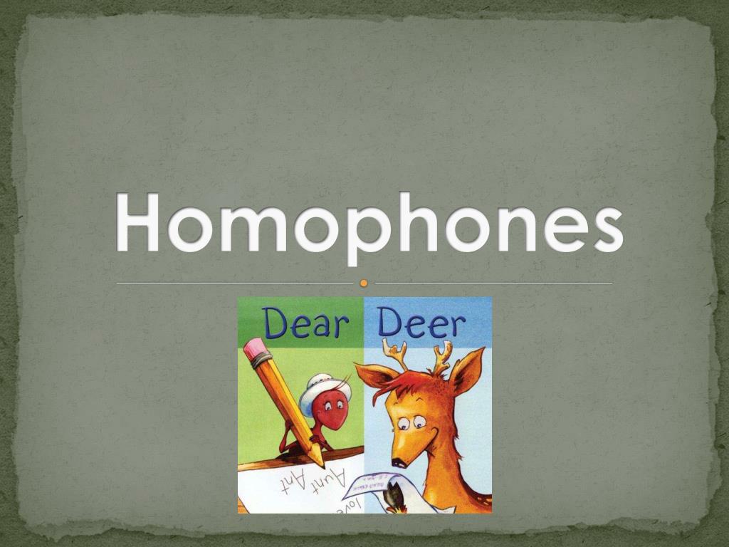 PPT - Homophones PowerPoint Presentation, free download - ID:3103491