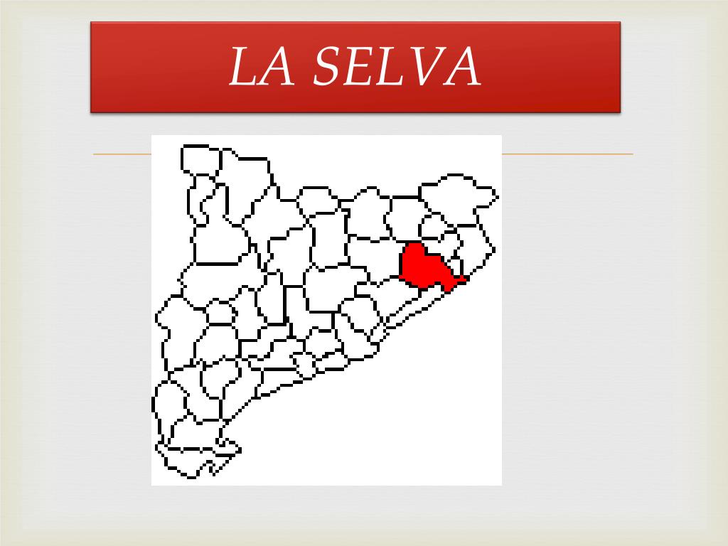 PPT - LA SELVA PowerPoint Presentation, free download - ID:3103884