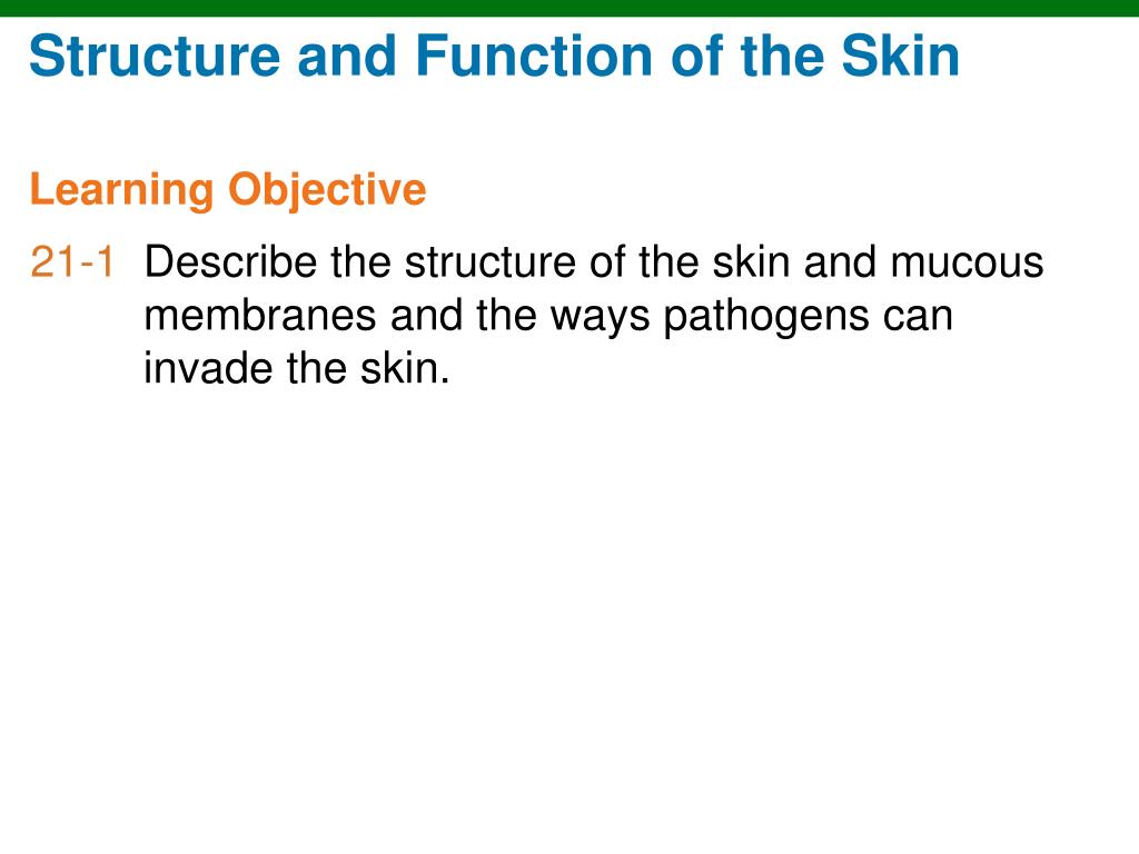 PPT - Structure and Function of the Skin PowerPoint Presentation, free ...