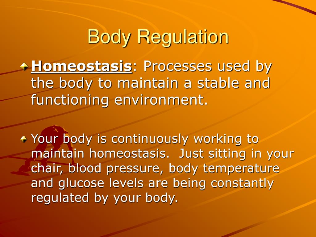 PPT - Body Regulation PowerPoint Presentation, free download - ID:3104963
