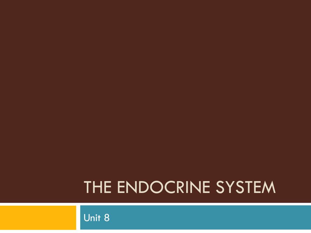 PPT - The Endocrine System PowerPoint Presentation, free download - ID ...