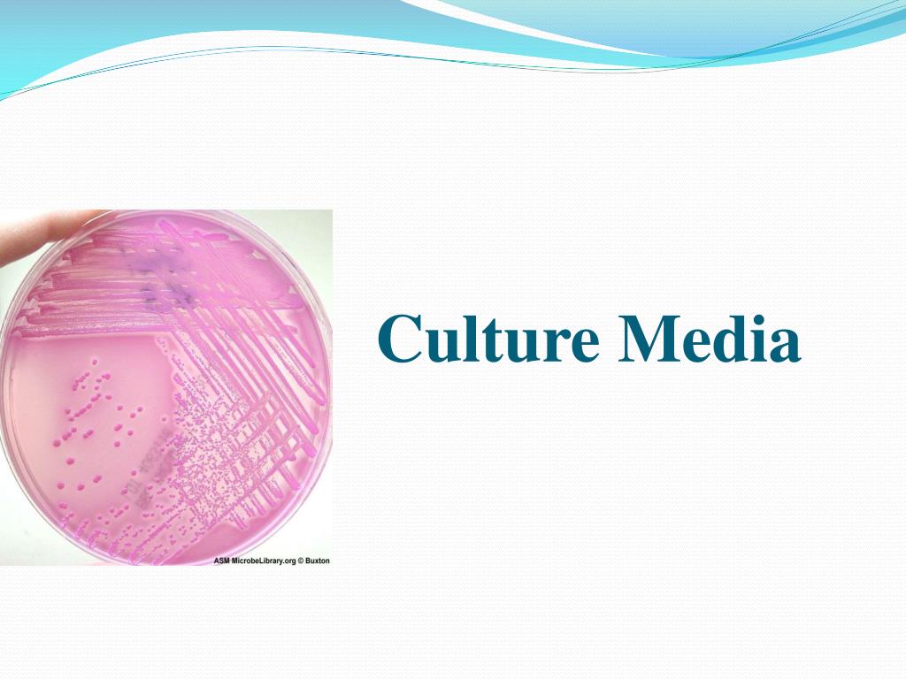 PPT - Culture Media PowerPoint Presentation, free download - ID:3105513