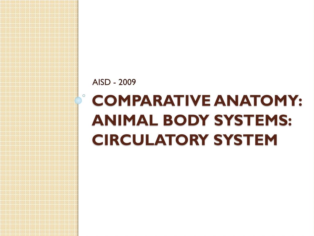 PPT - Comparative Anatomy: Animal Body Systems: Circulatory System ...