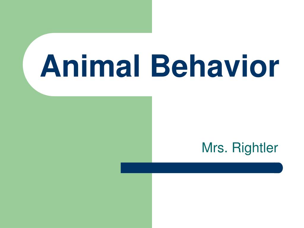 PPT - Animal Behavior PowerPoint Presentation, free download - ID:3106210