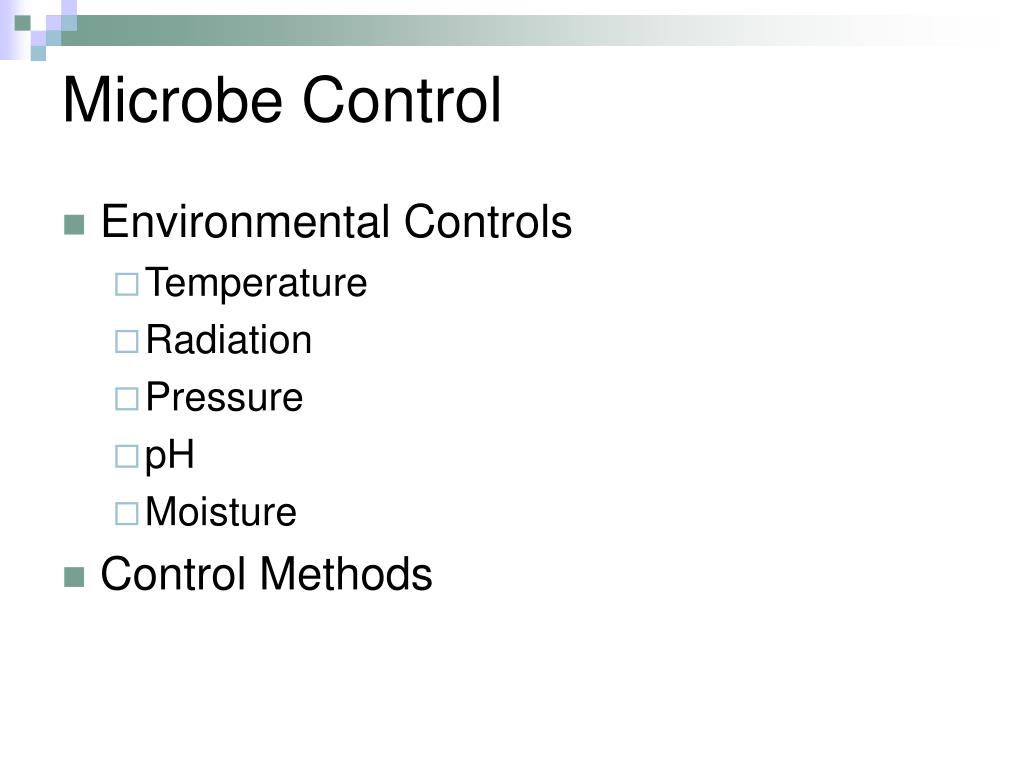 PPT - Microbe Control PowerPoint Presentation, free download - ID:3106882