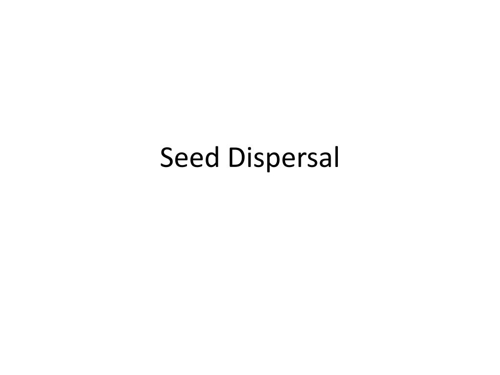 PPT - Seed Dispersal PowerPoint Presentation, free download - ID:3107833