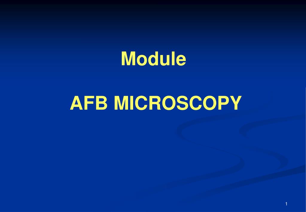 PPT - Module AFB MICROSCOPY PowerPoint Presentation, free download - ID ...