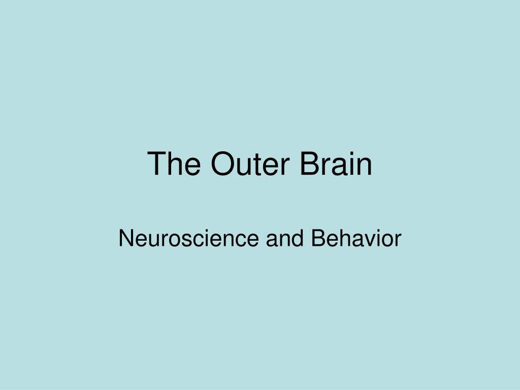 PPT - The Outer Brain PowerPoint Presentation, free download - ID:3109155