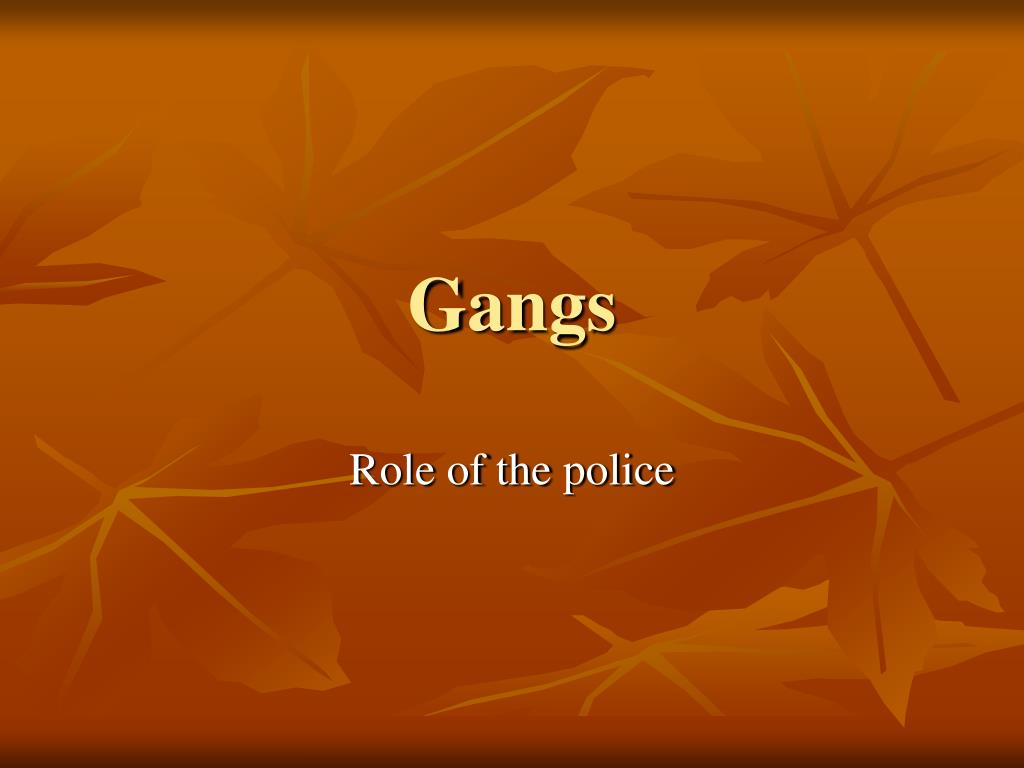 PPT - Gangs PowerPoint Presentation, free download - ID:3109290