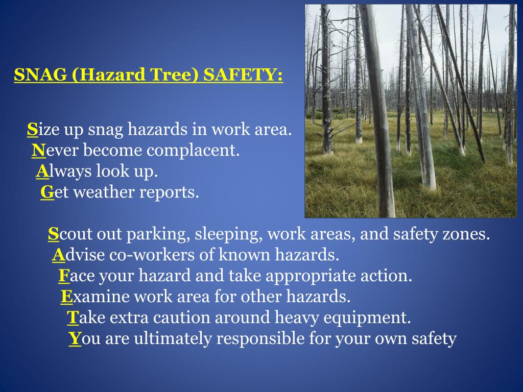 PPT - SNAG (Hazard Tree) SAFETY: PowerPoint Presentation, free download ...