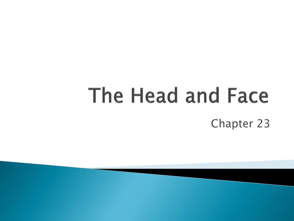 PPT - The Head and Face PowerPoint Presentation, free download - ID:3110685