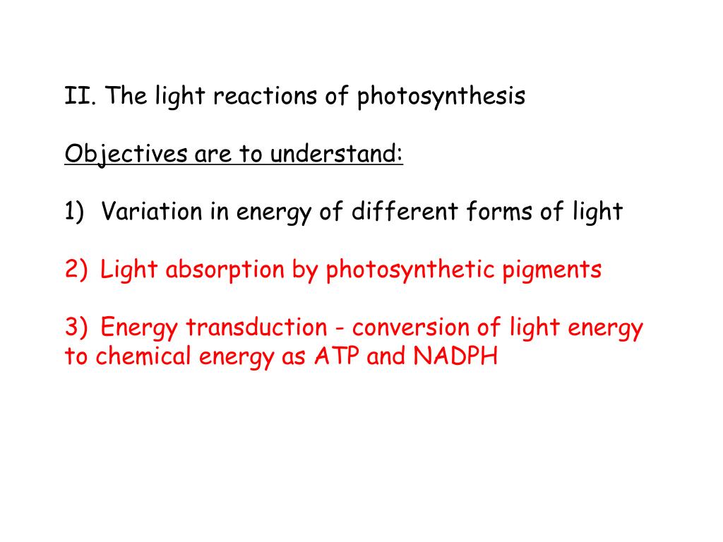 PPT - II. The light reactions of photosynthesis Objectives are to ...