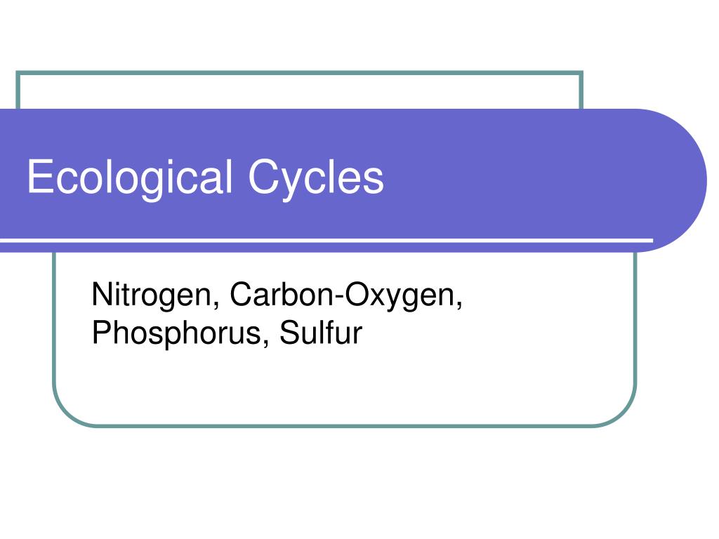PPT - Ecological Cycles PowerPoint Presentation, free download - ID:3110802