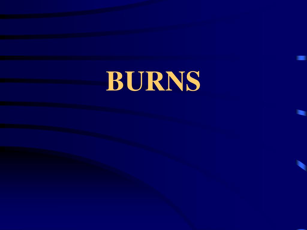 PPT - BURNS PowerPoint Presentation, free download - ID:3111094