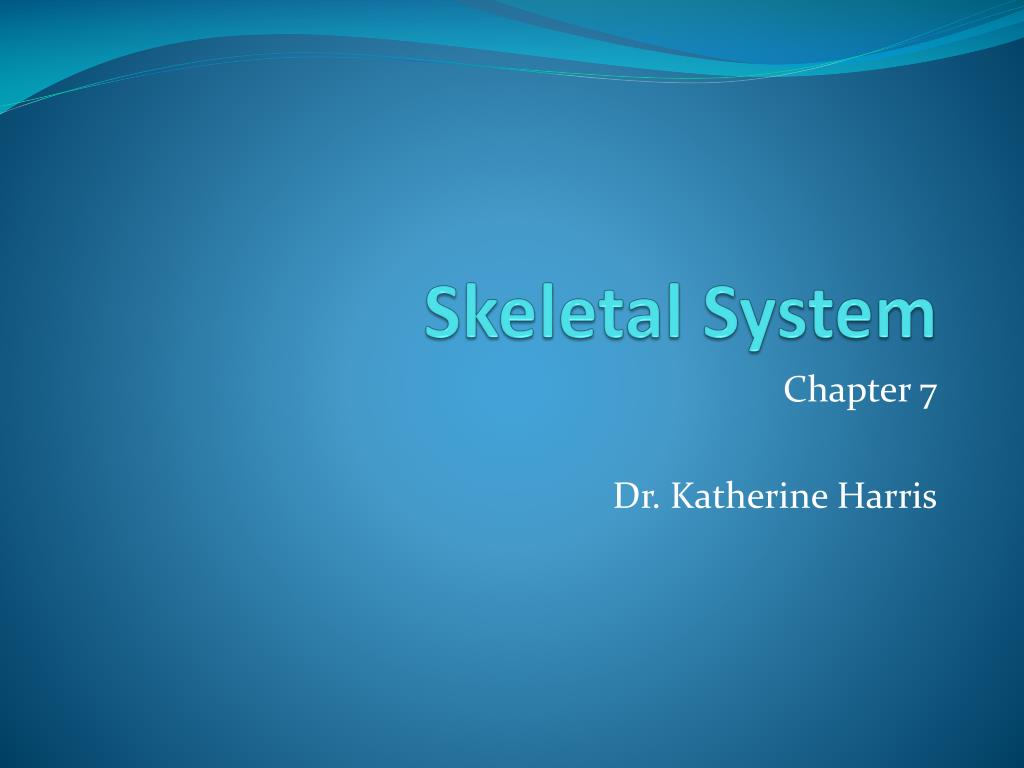 PPT - Skeletal System PowerPoint Presentation, free download - ID:3112109