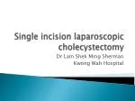 PPT - Cholecystectomy PowerPoint Presentation, free download - ID:2171508