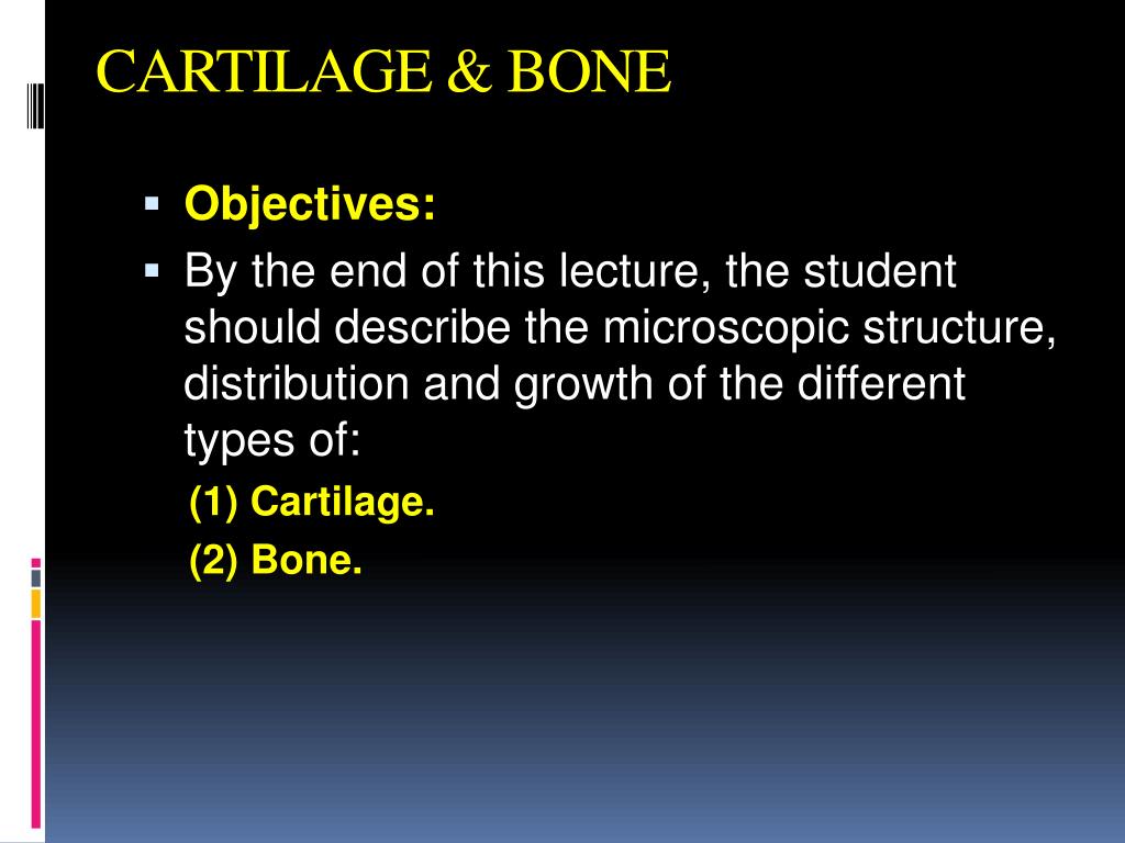 PPT - CARTILAGE & BONE PowerPoint Presentation, free download - ID:3112361
