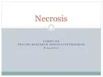 PPT - NECROSIS PowerPoint Presentation, free download - ID:194966