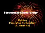 PPT - Chapter 1 Foundations of Structural Kinesiology PowerPoint ...
