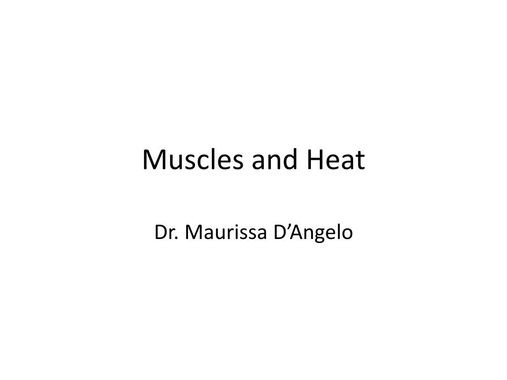 PPT - Muscles and Heat PowerPoint Presentation, free download - ID:3116746