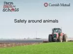 PPT - Safety with Animals PowerPoint Presentation, free download - ID ...