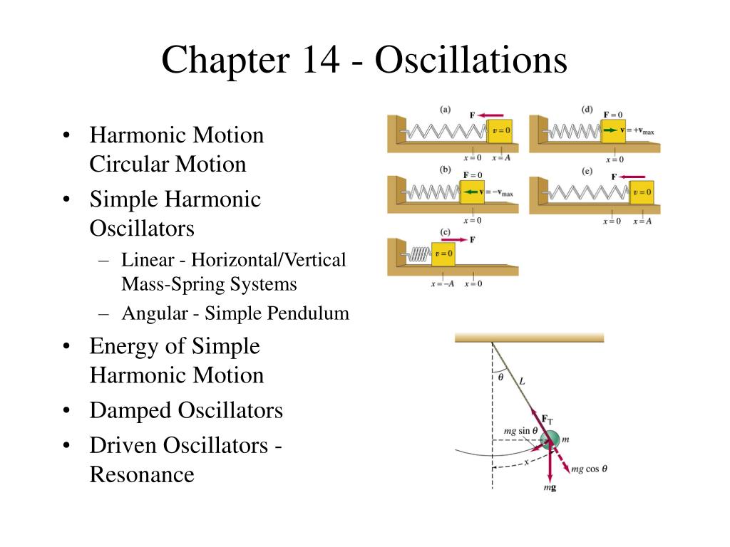 PPT - Chapter 14 - Oscillations PowerPoint Presentation, free download ...