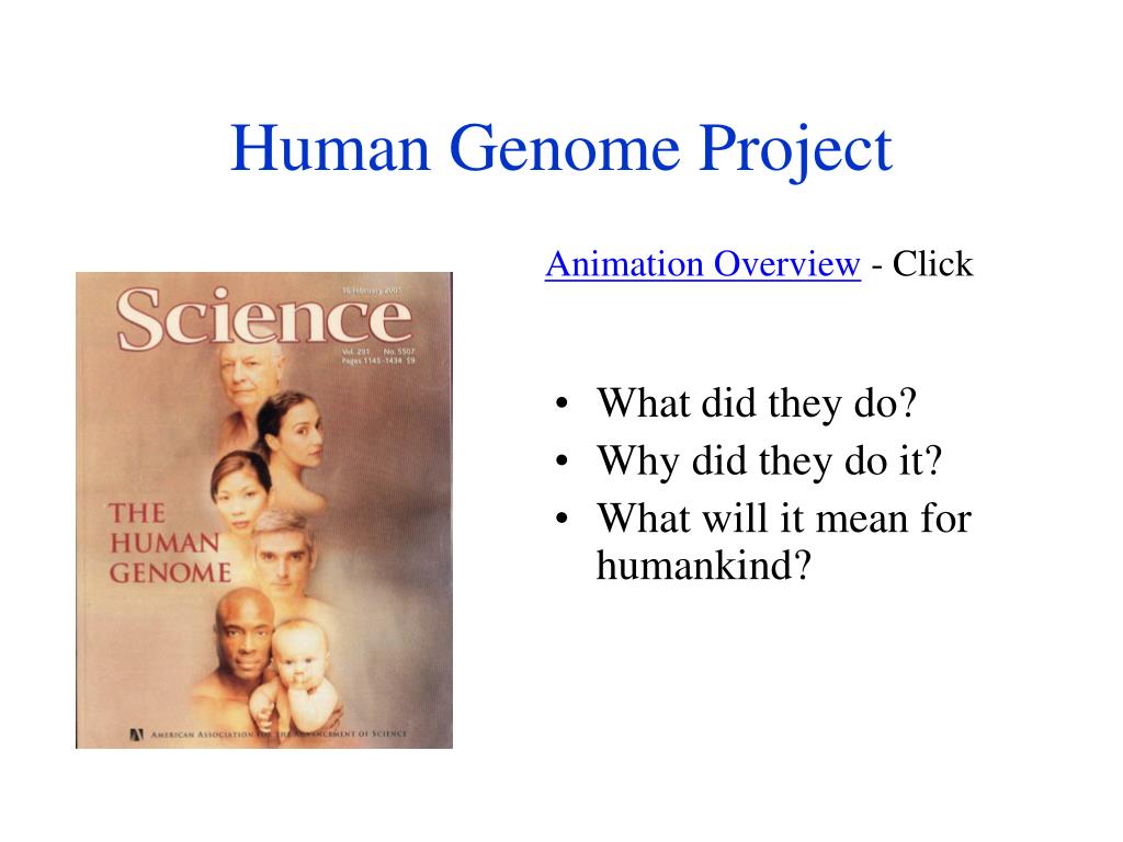 PPT - Human Genome Project PowerPoint Presentation, free download - ID ...