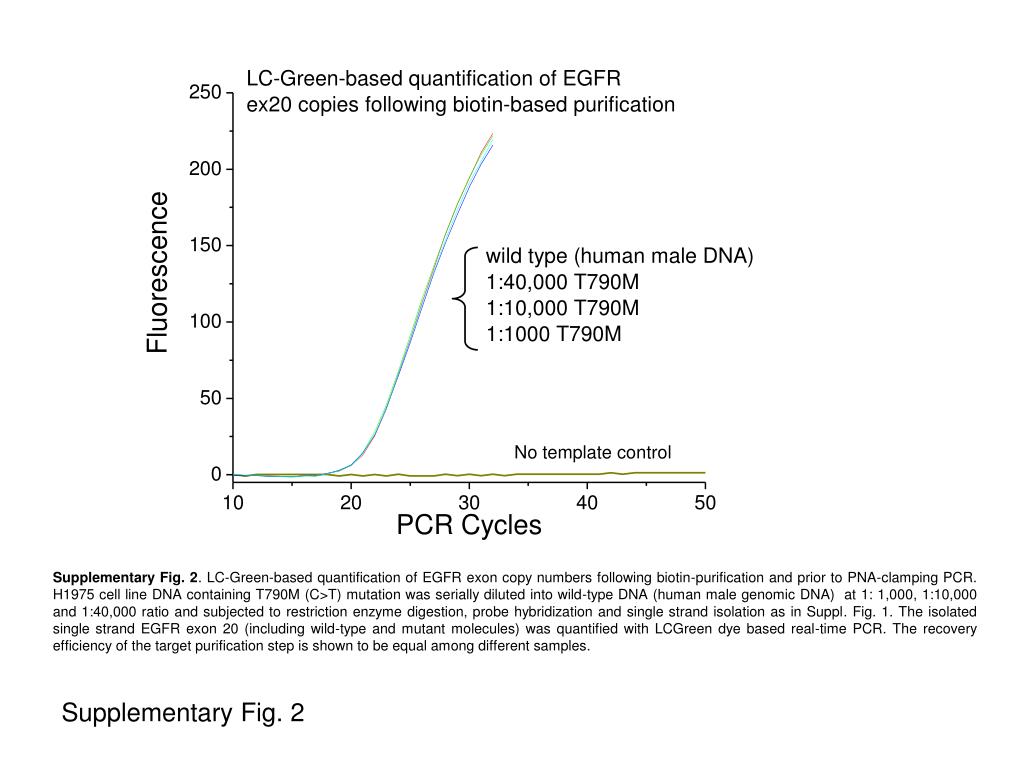 PPT - EGFR Exon Copy Number Quantification Using LCGreen in H1975 Cell ...