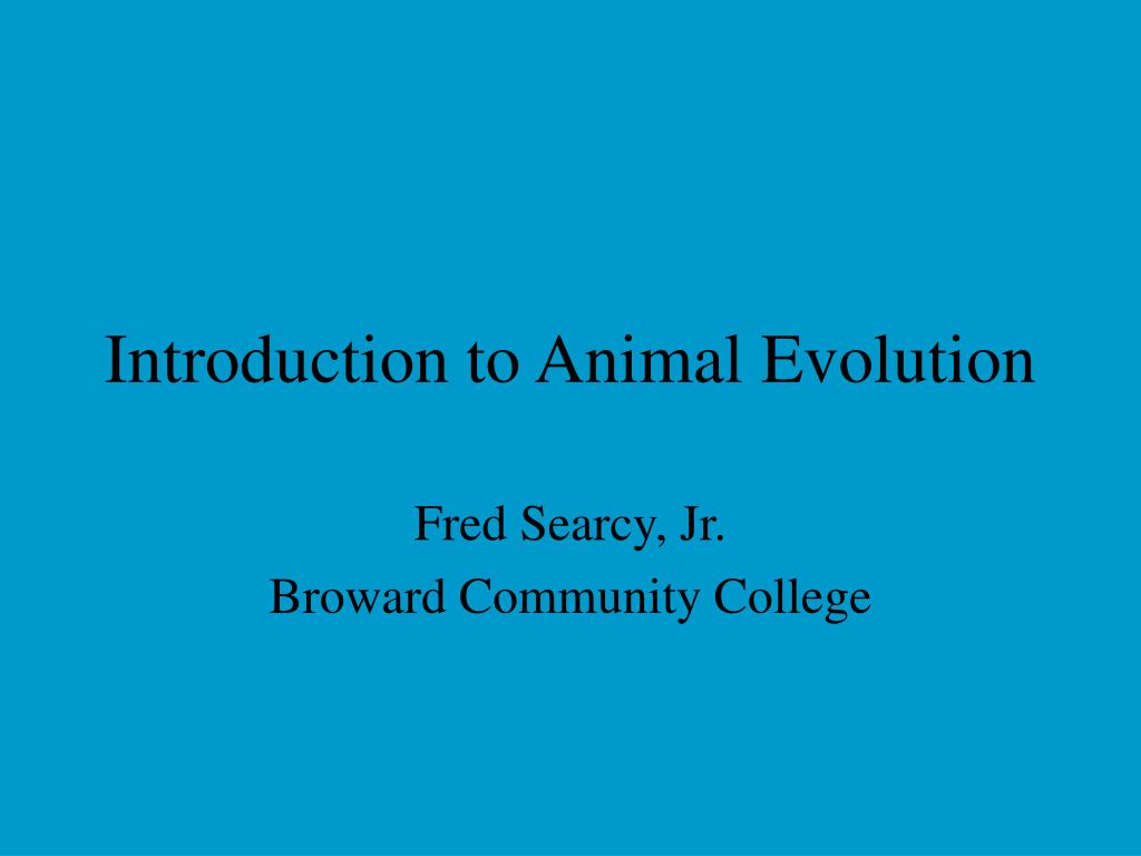 PPT - Introduction to Animal Evolution PowerPoint Presentation, free ...