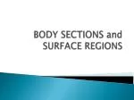 PPT - Anatomical Body Regions PowerPoint Presentation, free download ...