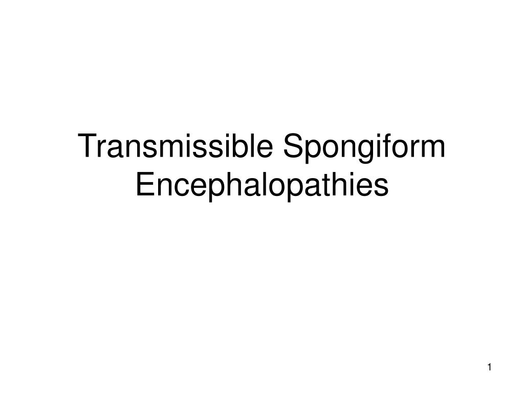 PPT - Transmissible Spongiform Encephalopathies PowerPoint Presentation ...